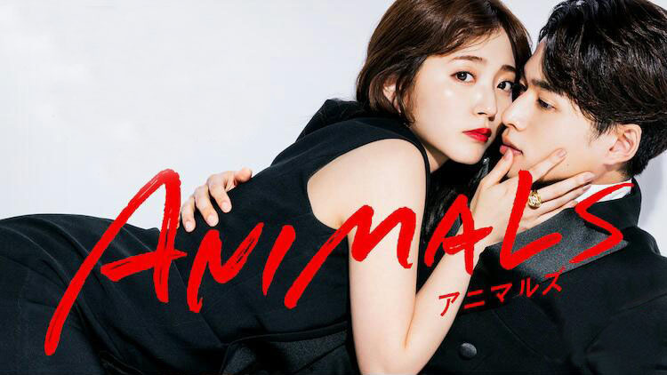 Animals(Ep.1-8)-Ep.1-English subtitles & More -Korean drama-HiTV